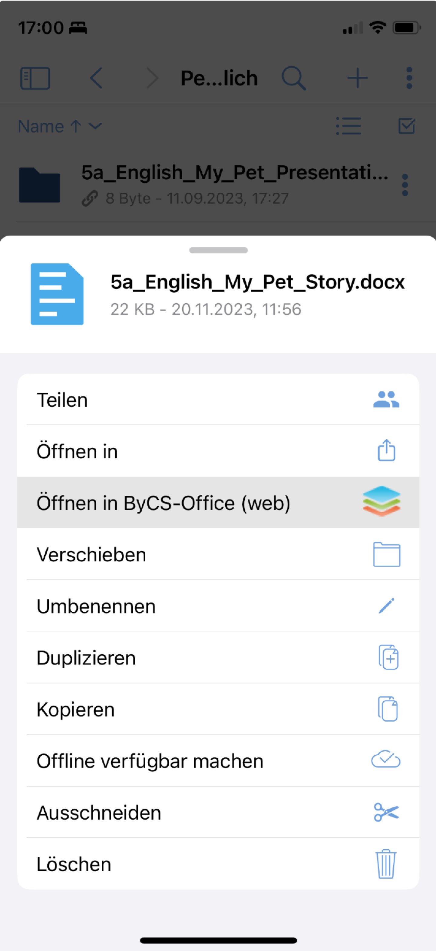 ByCS | Datei in Web-Office öffnen (iOS)