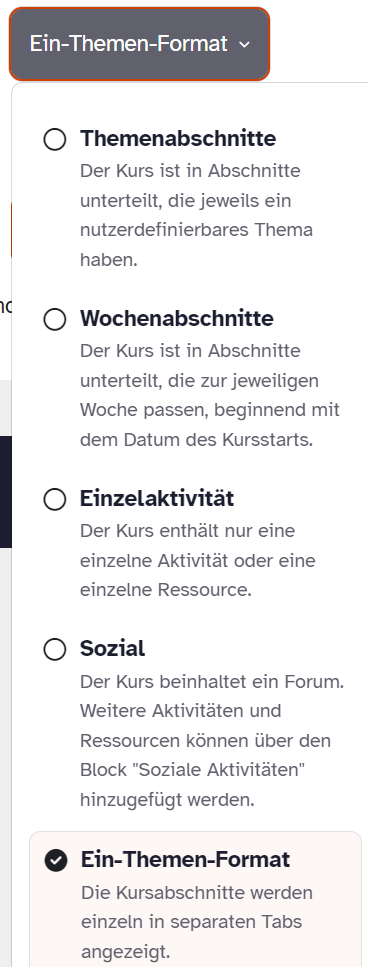 ByCS | Ein-Themen-Format einstellen