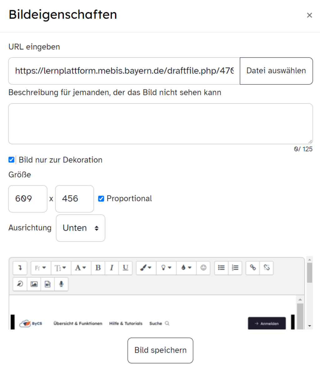 ByCS | Texteditor - Bild einfügen