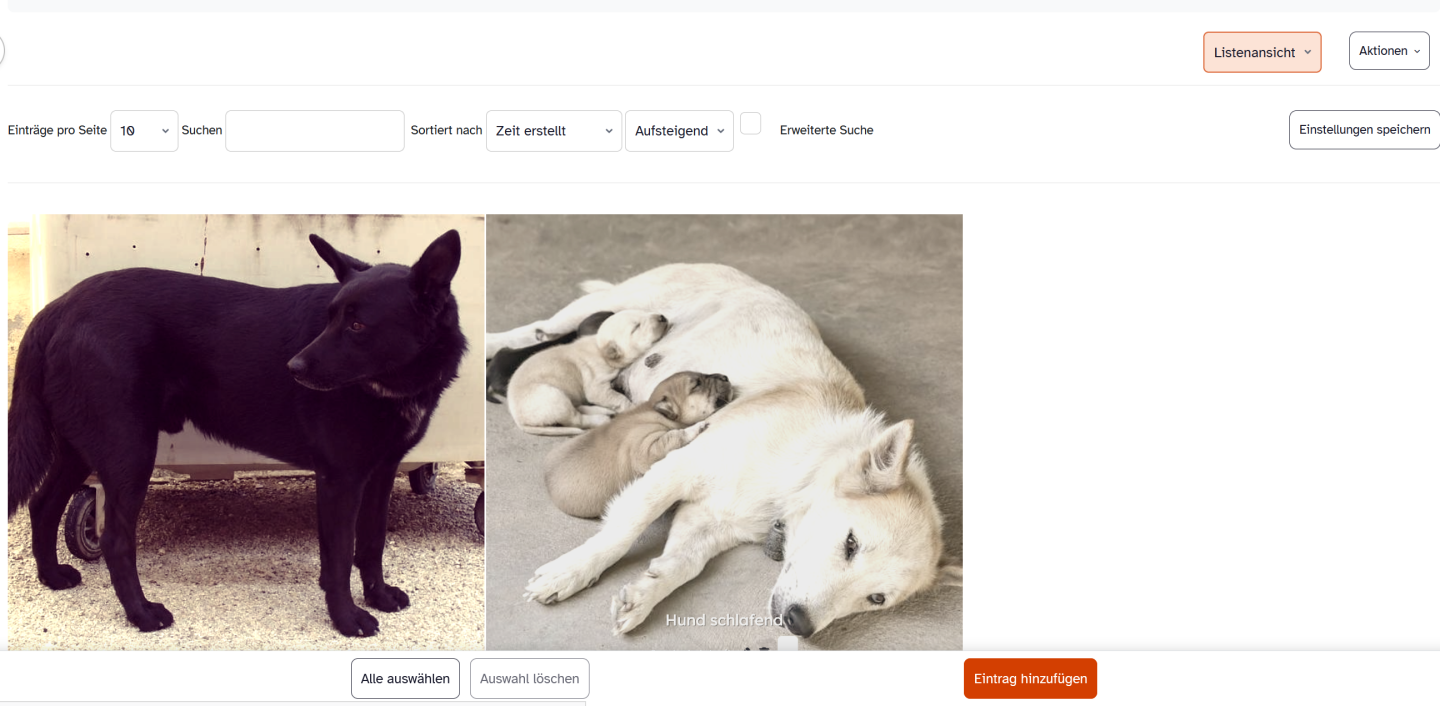 ByCS | Datenbank - Listen- und Einzelansicht