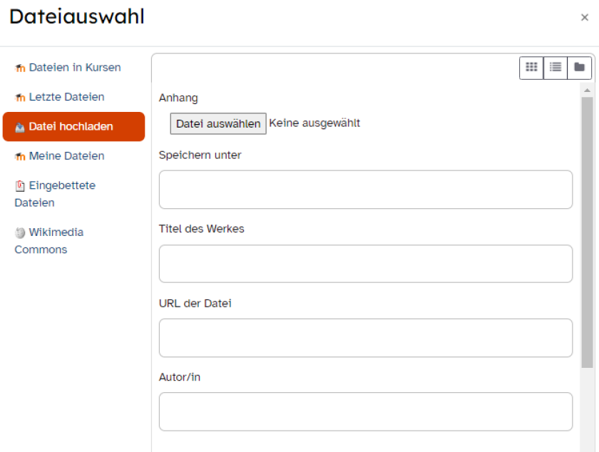 ByCS | Texteditor - Video einfügen