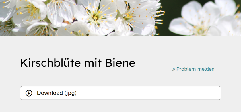 ByCS | Inhalte einbinden (Lernplattform)